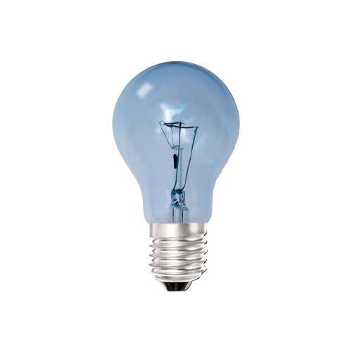 E27 240V 60W Daylight Blue GLS 03650 – NZ Lightbulbs